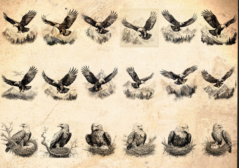 100 Eagle Procreate Stamp Brushes Wildlife Bird Procreate - Etsy