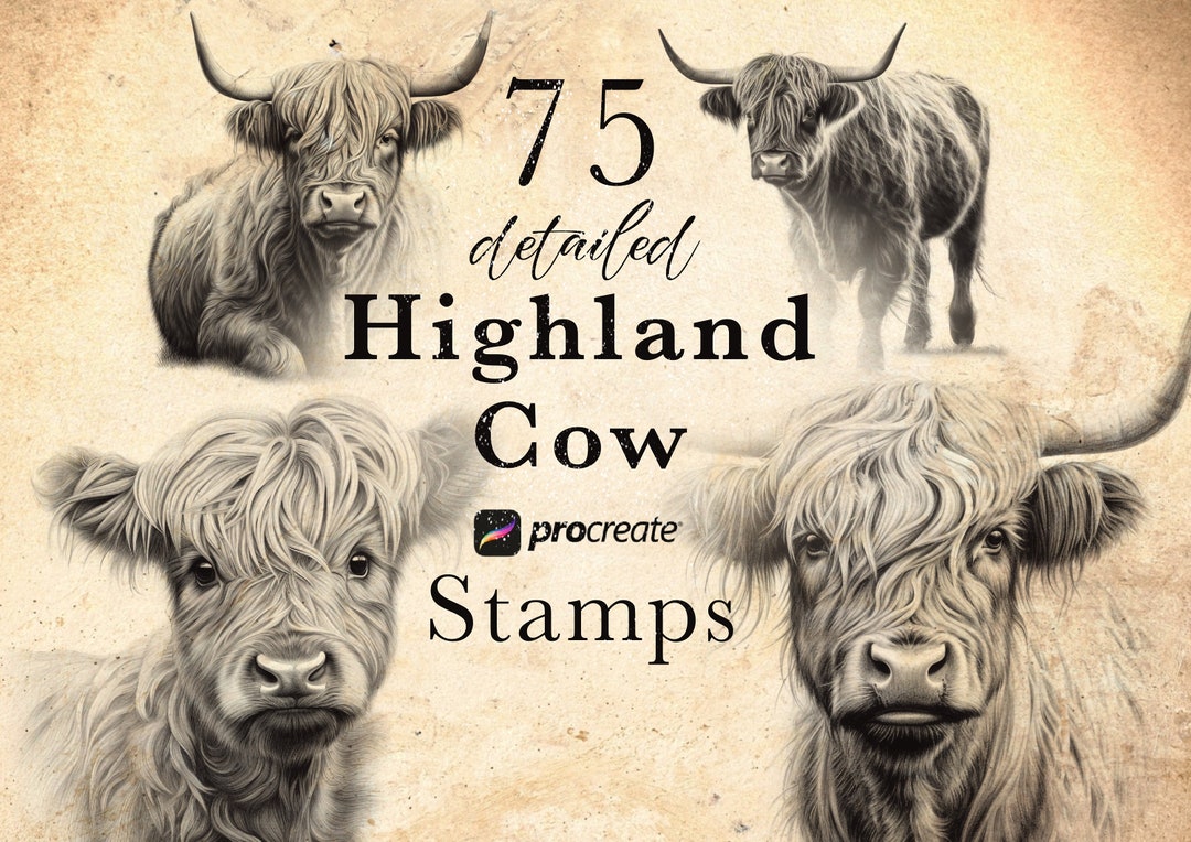 Highland Cow Procreate Stamp Brushes | Farm Animal Procreate Stamps ...