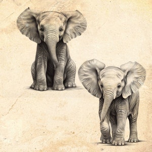 Elephant Procreate Stamp Brushes | Wildlife Animal Procreate Stamps ...