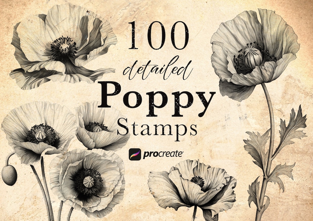 Poppy Flower Procreate Stamp Brushes: Botanical Tattoo Stamps (100 ...