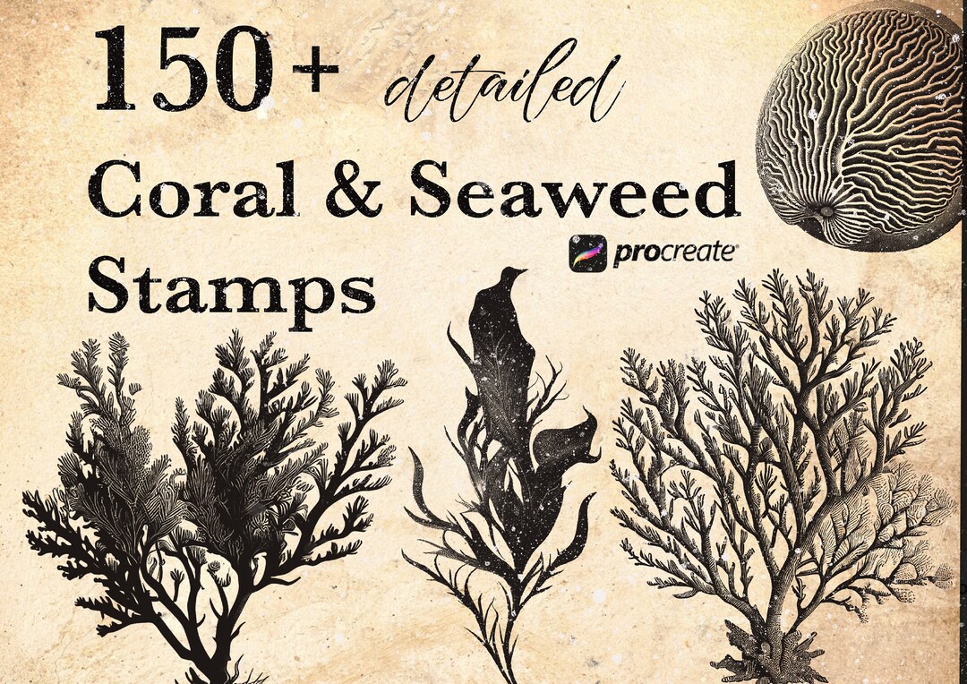 150 Coral & Seaweed Procreate Stamp Bushes | Marine Life Procreate ...