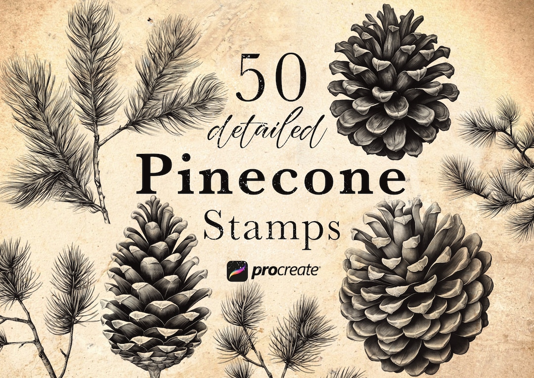 50 Pinecone Procreate Brush Stamps | Christmas Pine Branches , Winter ...