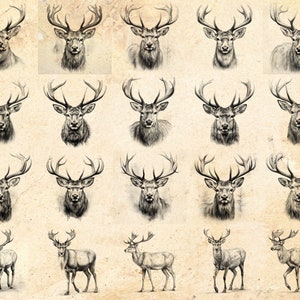 75 Reindeer Procreate Stamp Brushes Wildlife Animal Procreate Stamps ...