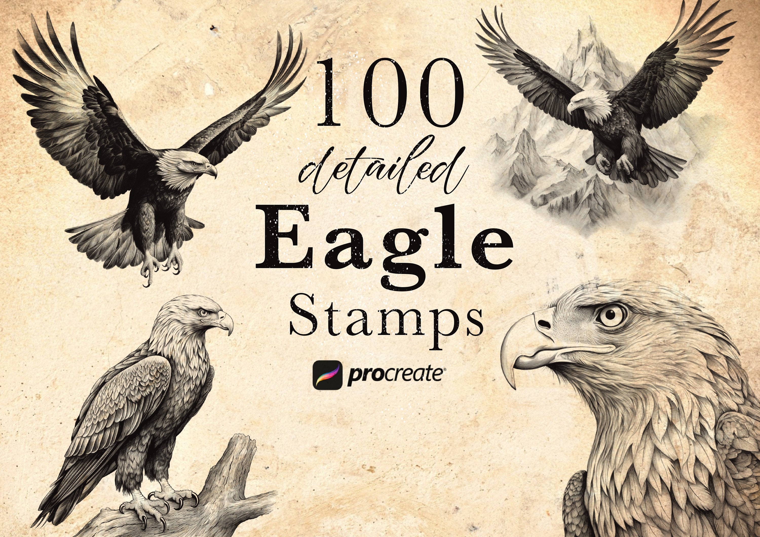 100 Eagle Procreate Stamp Brushes Wildlife Bird Procreate - Etsy