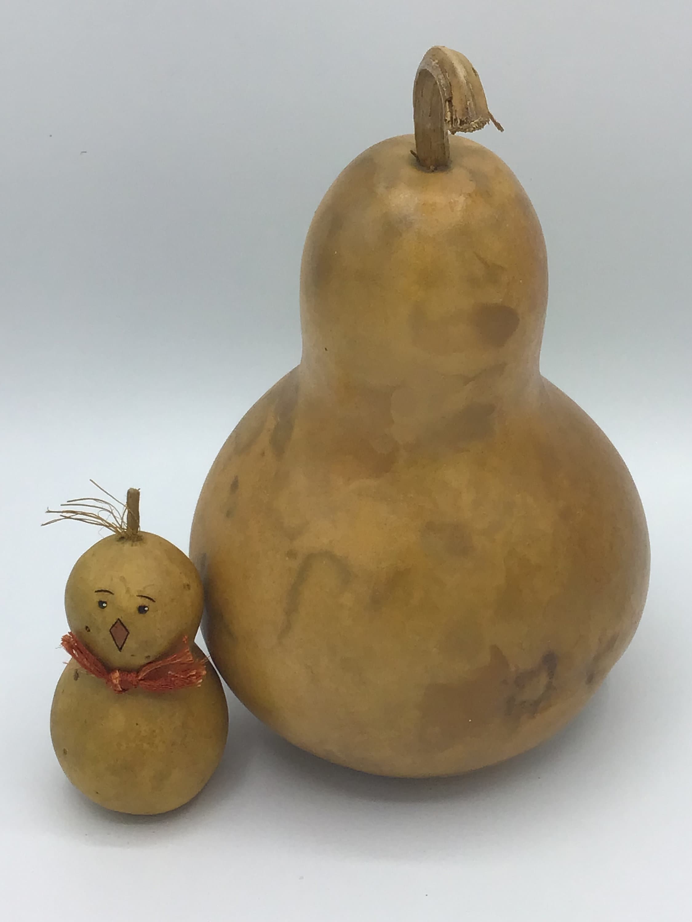 Easter Diorama in A Natural Dried Gourd With Chickie Baby Gourd - Etsy