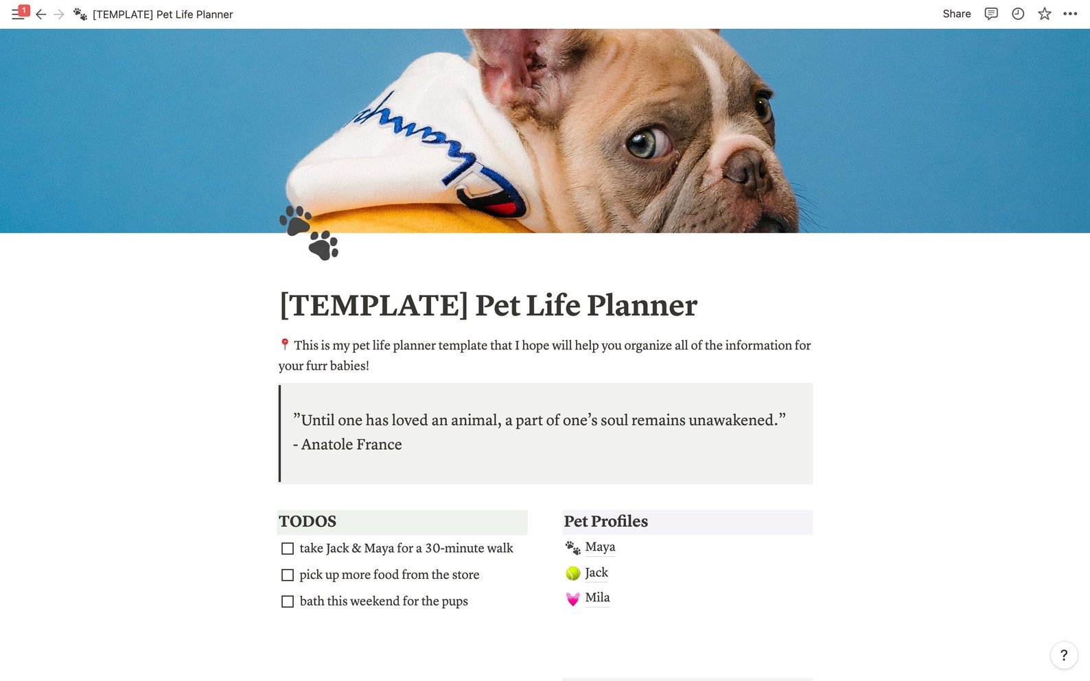 Pet Planner EDITABLE NOTION TEMPLATE - Etsy
