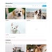 Pet Planner EDITABLE NOTION TEMPLATE - Etsy
