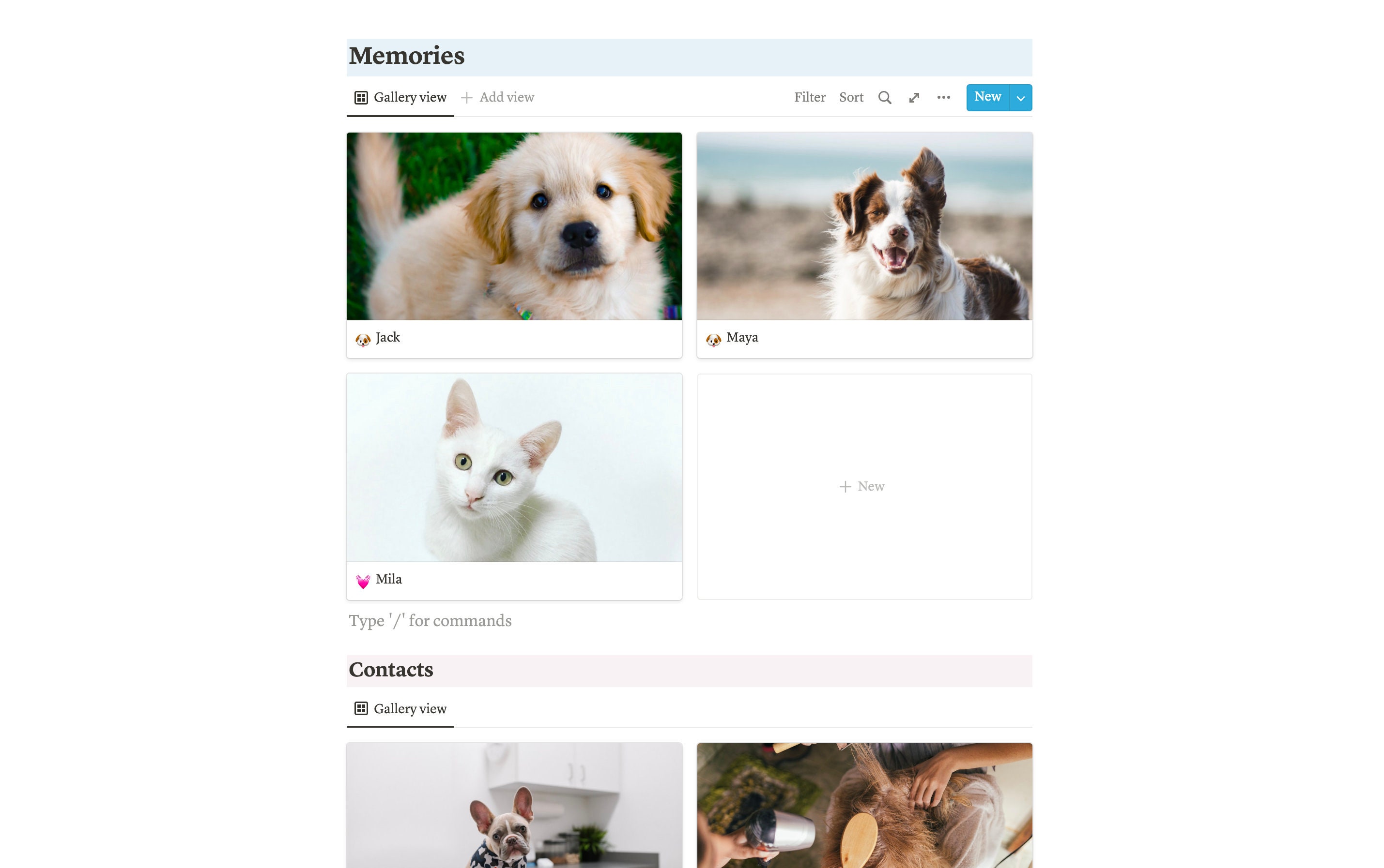 Pet Planner EDITABLE NOTION TEMPLATE - Etsy
