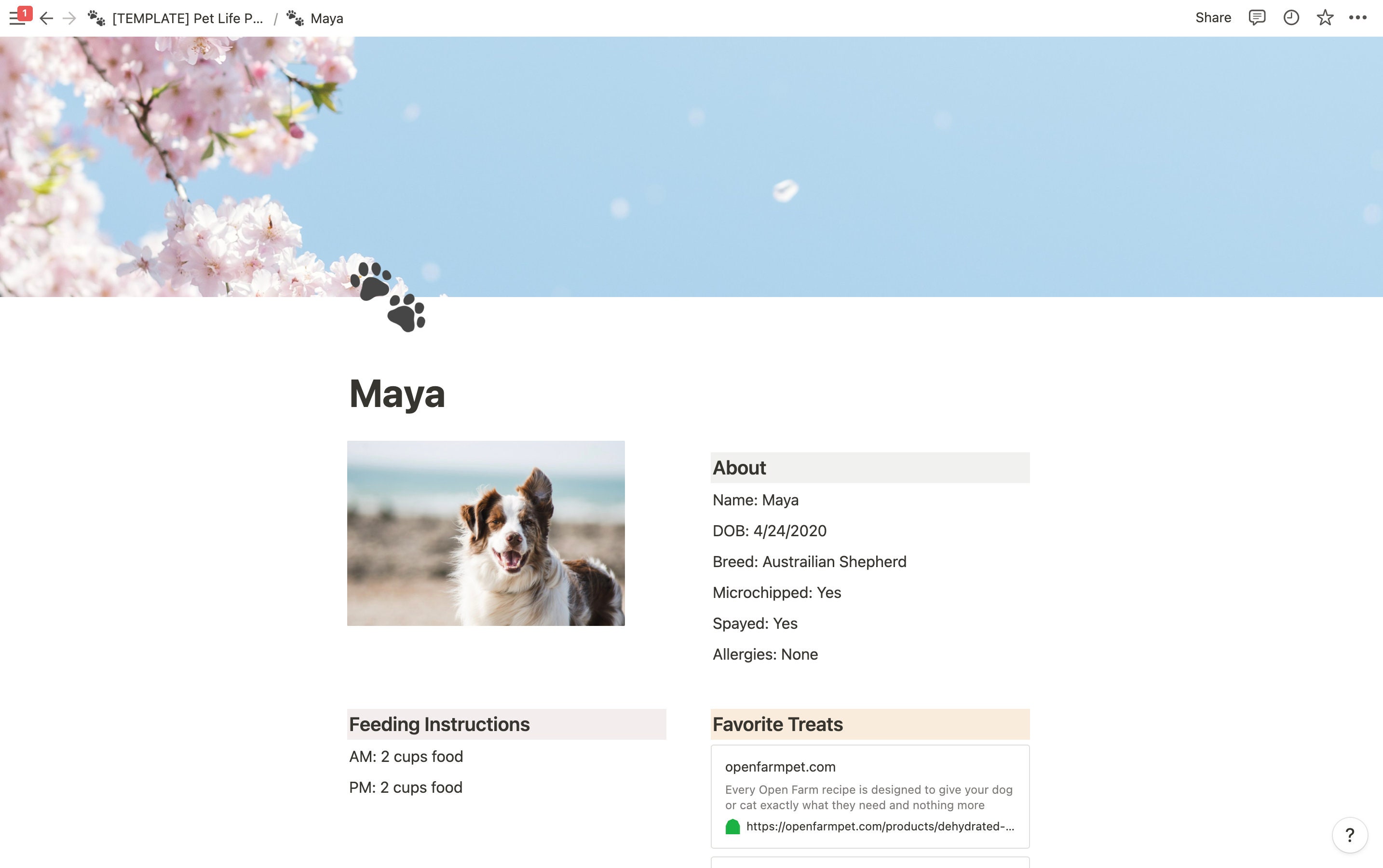 Pet Planner EDITABLE NOTION TEMPLATE - Etsy