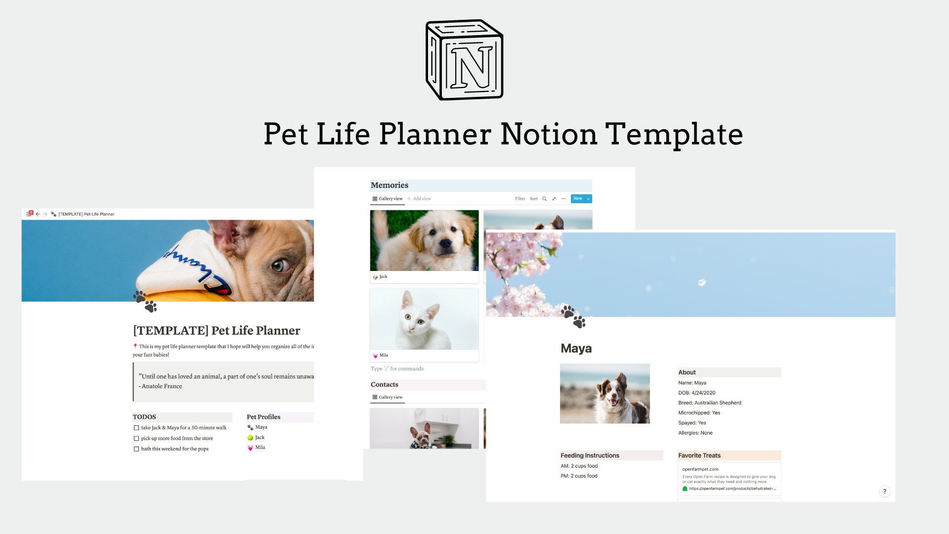 Pet Planner EDITABLE NOTION TEMPLATE - Etsy