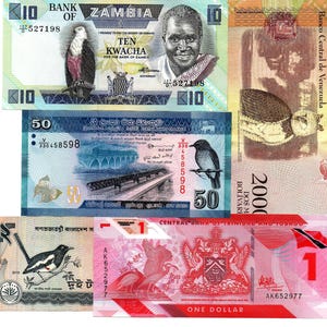 Lot 3 Different India 2rs Tiger 10rs Peacock and Nepal 10 Rupees Deer ...