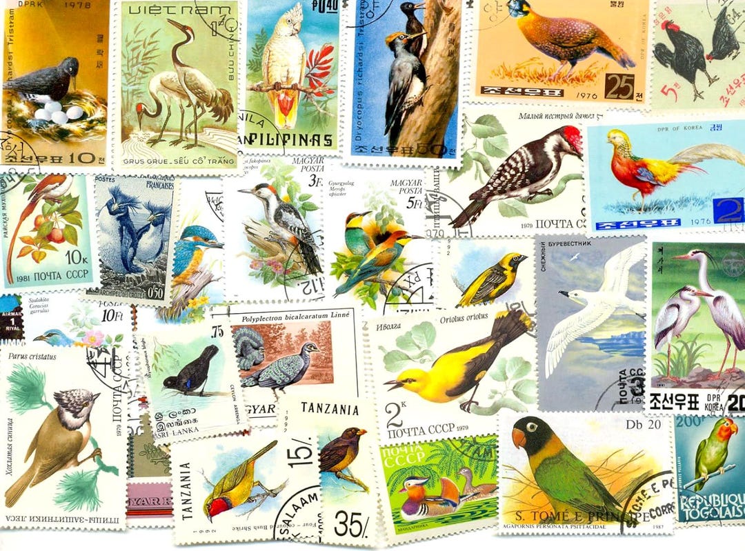 100 Different World Wide Birds All Large Rare Stamps Lot - Etsy