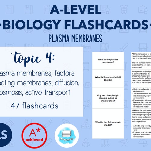 BIOLOGY FLASHCARDS A LEVEL: Ecosystems - Etsy