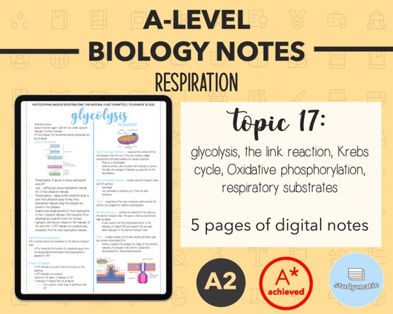 Aqa Alevel Biology Respiration Revision Teaching Resources
