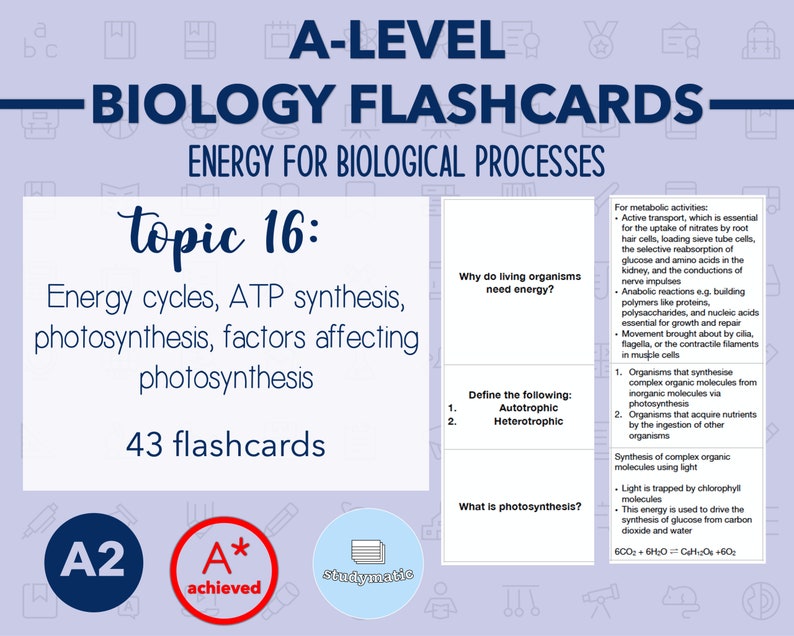 BIOLOGY FLASHCARDS A LEVEL: Energy for Biological Processes - Etsy