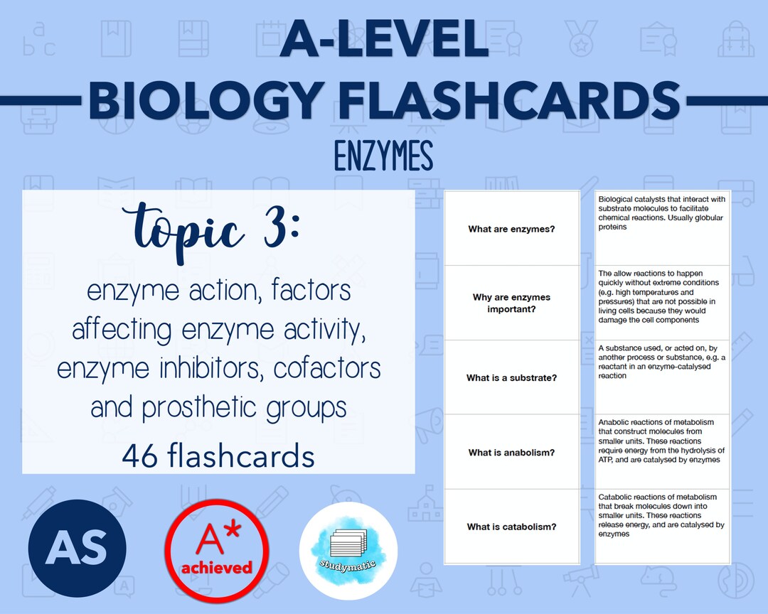 BIOLOGY FLASHCARDS A LEVEL: Enzymes - Etsy