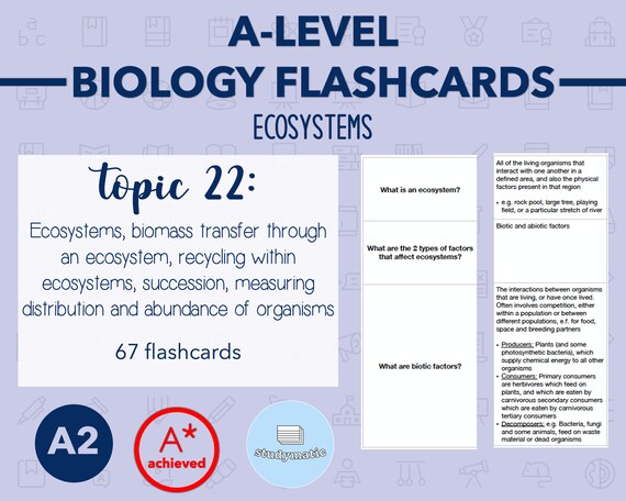 BIOLOGY FLASHCARDS A LEVEL: Ecosystems - Etsy