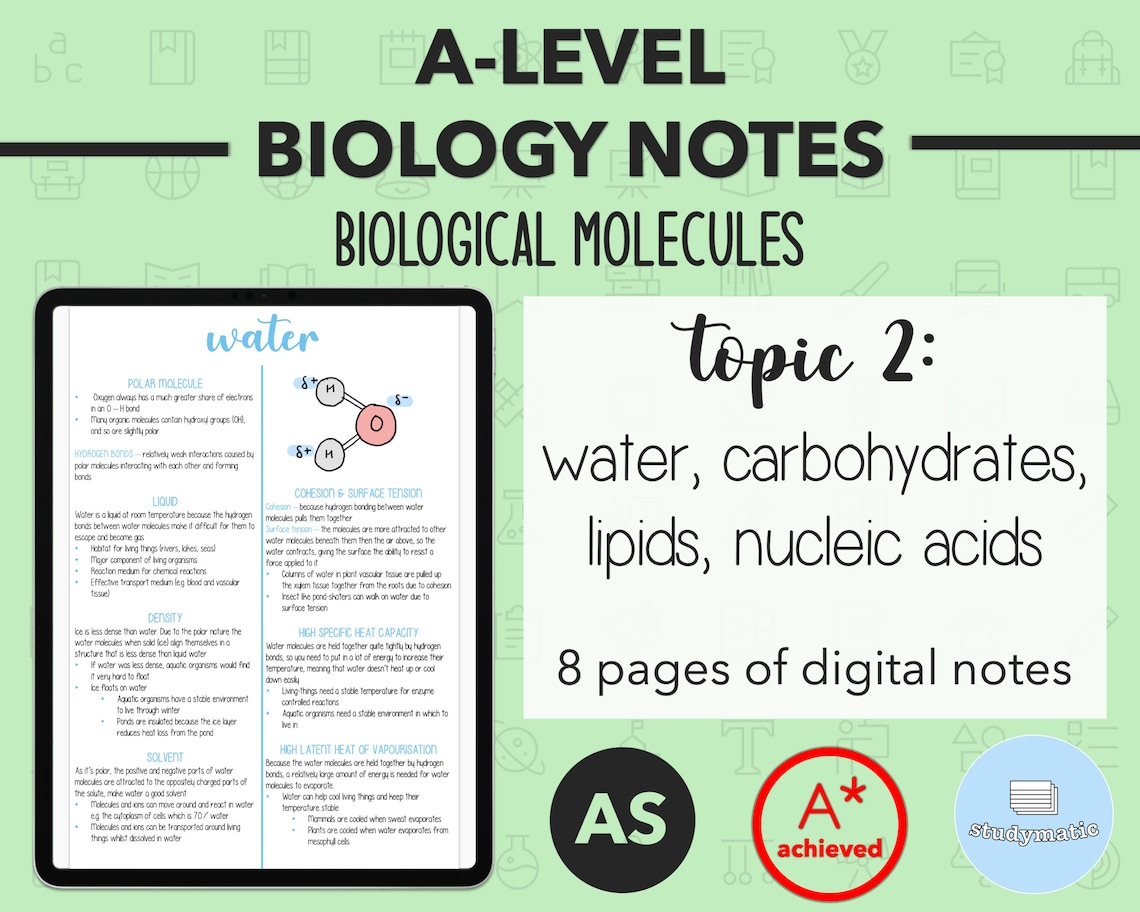 BIOLOGY NOTES A LEVEL: Biological Molecules - Etsy UK