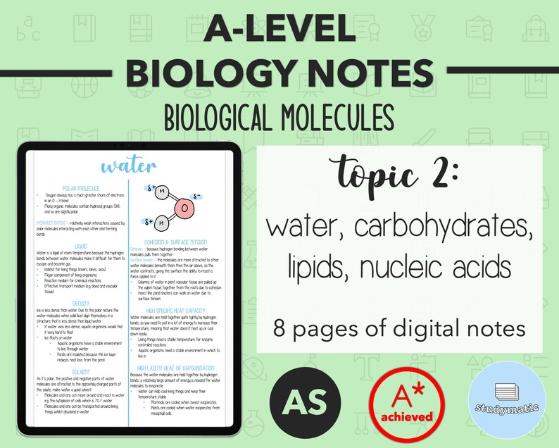 BIOLOGY NOTES A LEVEL: Biological Molecules - Etsy