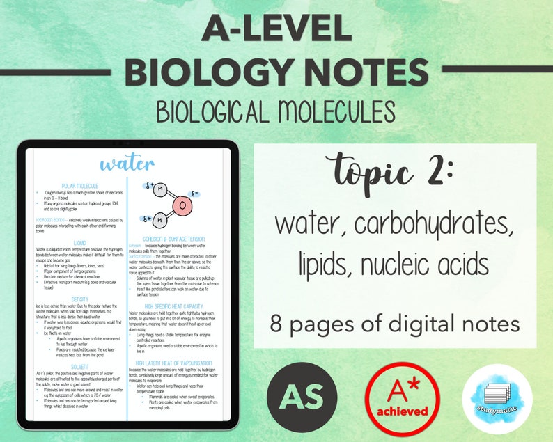BIOLOGY NOTES A LEVEL: Biological Molecules | Etsy