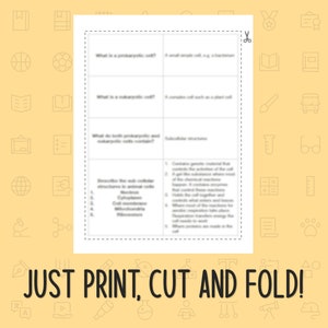 GCSE Geography Flashcards | GRADE 9 - Etsy UK