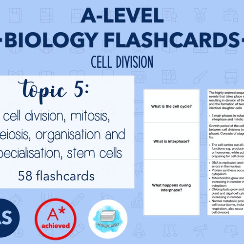 BIOLOGY FLASHCARDS A LEVEL: Neuronal Communication - Etsy