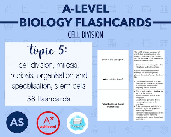 BIOLOGY FLASHCARDS A LEVEL: Cell Division | Etsy