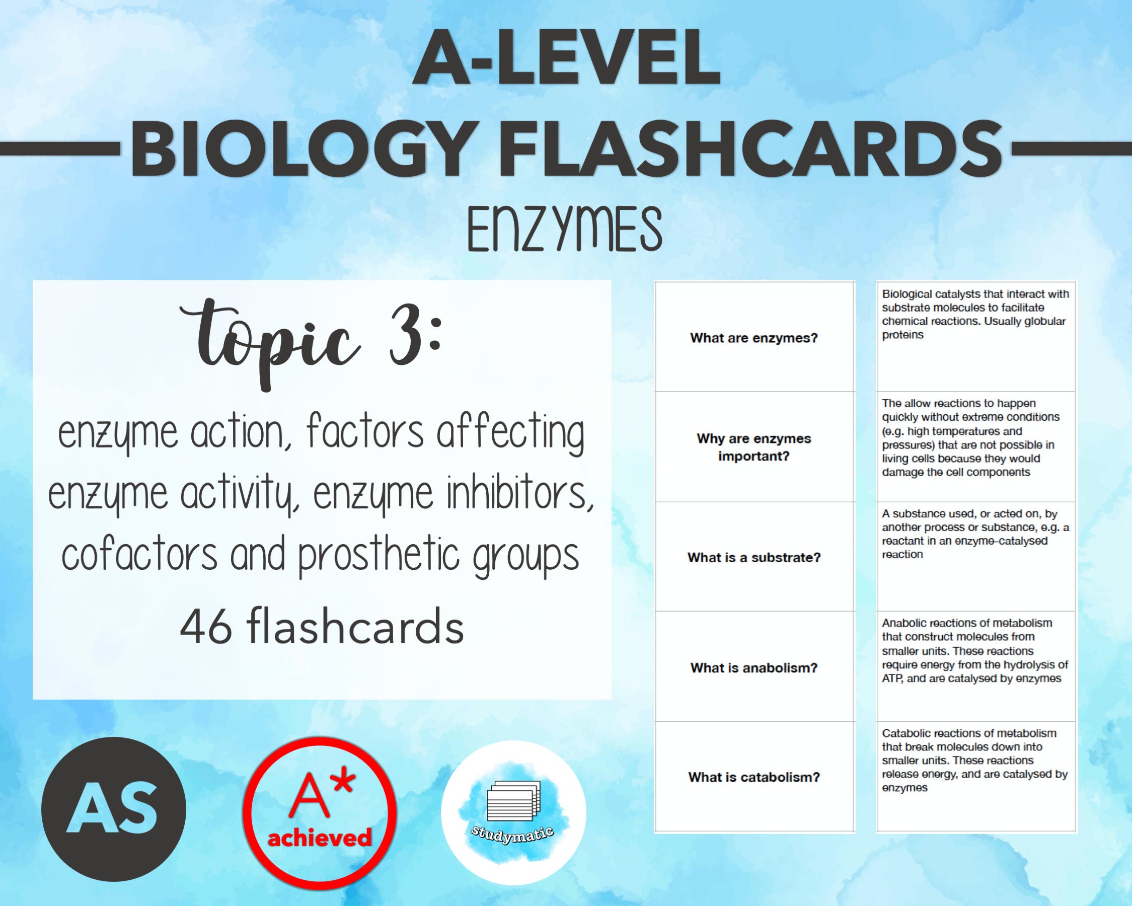 BIOLOGY FLASHCARDS A LEVEL: Enzymes | Etsy