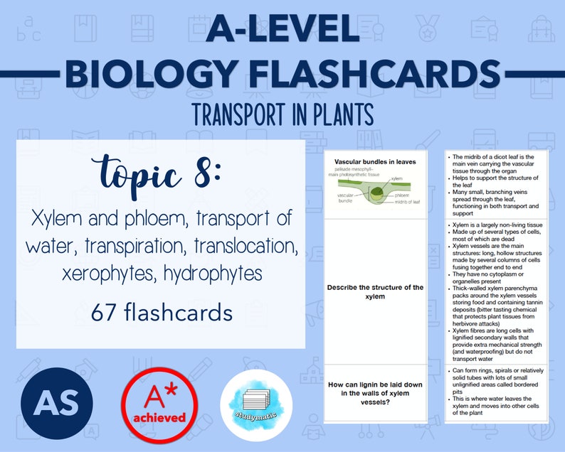 BIOLOGY FLASHCARDS A LEVEL: Transport in Plants - Etsy