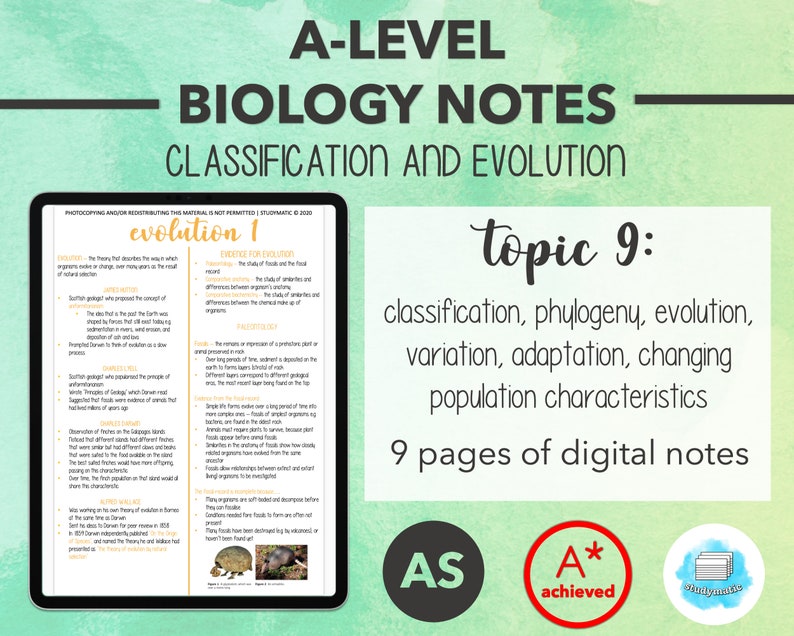 BIOLOGY NOTES A LEVEL: Classification and Evolution | Etsy