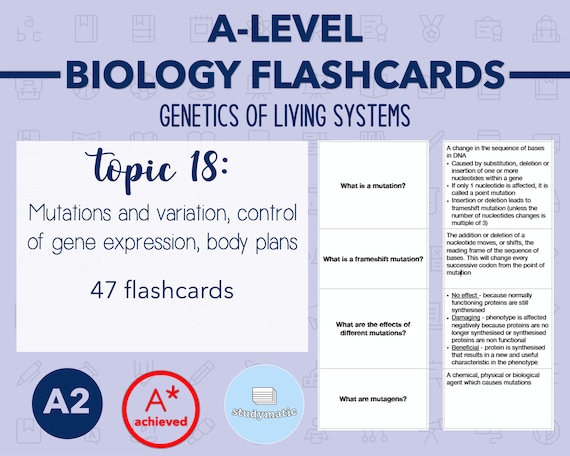 BIOLOGY FLASHCARDS A LEVEL: Genetics of Living Systems - Etsy