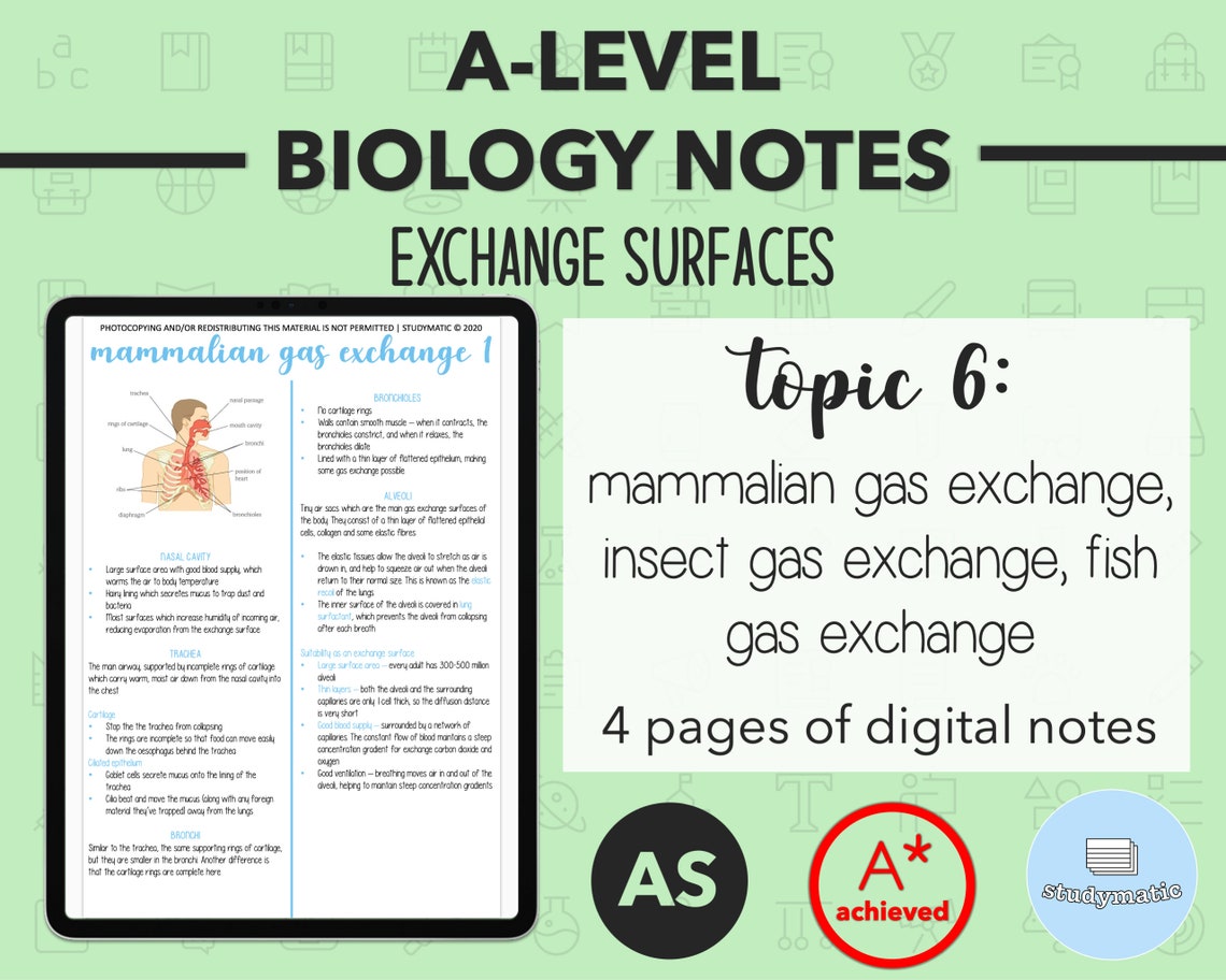 BIOLOGY NOTES A LEVEL: Exchange Surfaces - Etsy