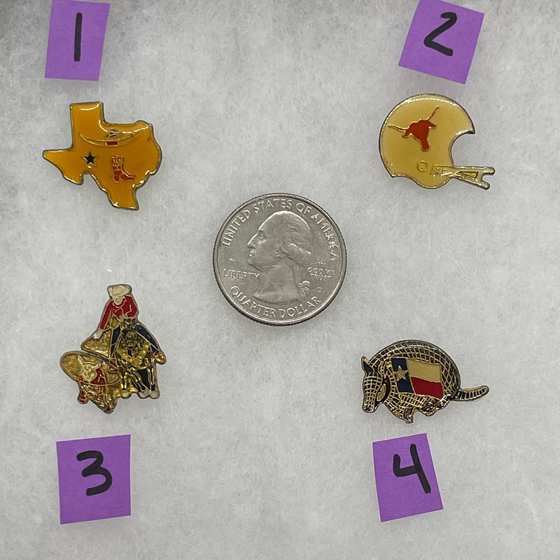 Texas Enamel Pin - Etsy
