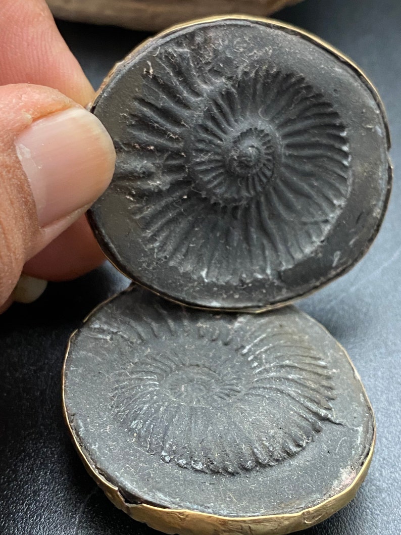 Shaligram Pendent Saligram Stone Spiritual Religious - Etsy