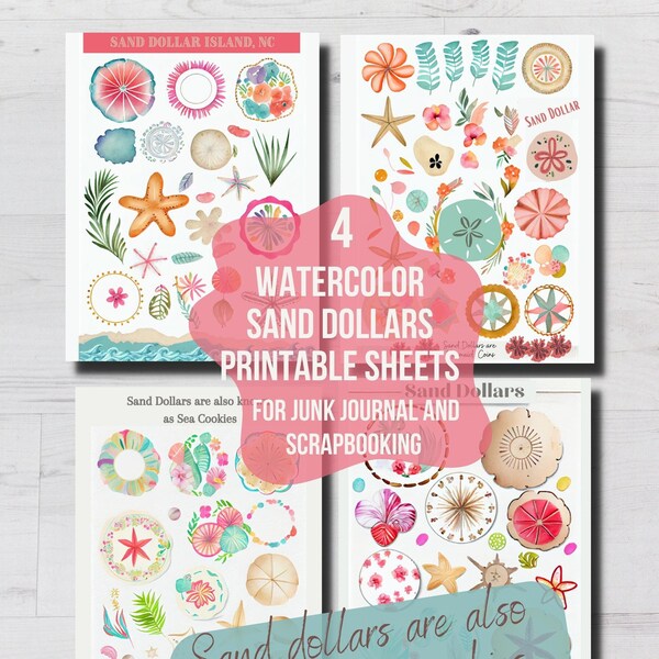 Sand Dollar Clip Art - Etsy