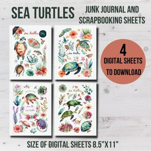 Watercolor Sea Turtle Clip Art Printable Download for Card Making ...