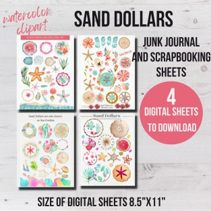 Watercolor SAND DOLLAR Clip Art Printable Download for Card Making ...