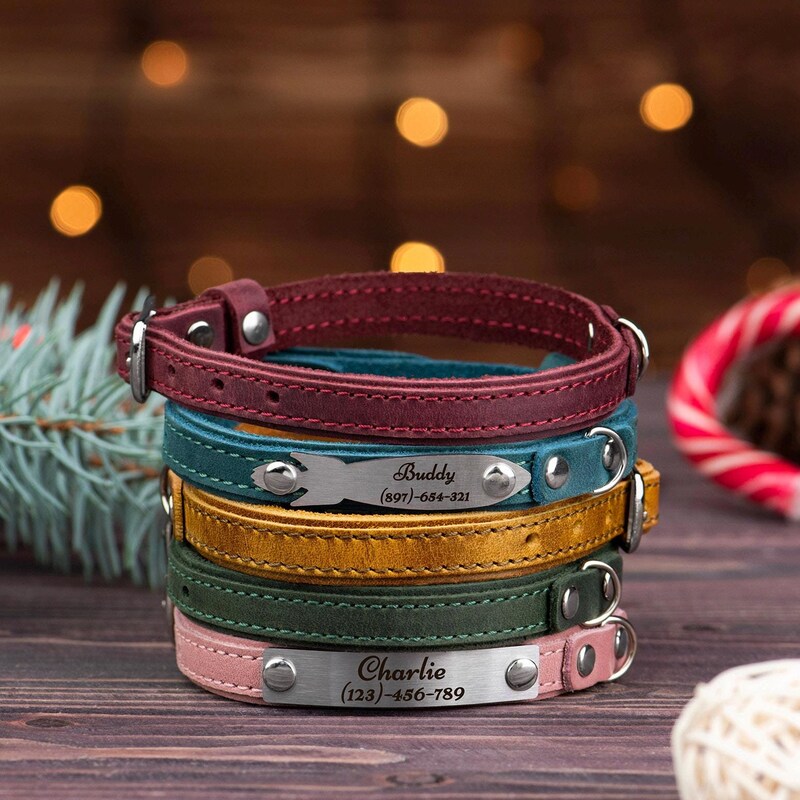 Small Nice Pet Gifts - 60+ Gift Ideas for 2025