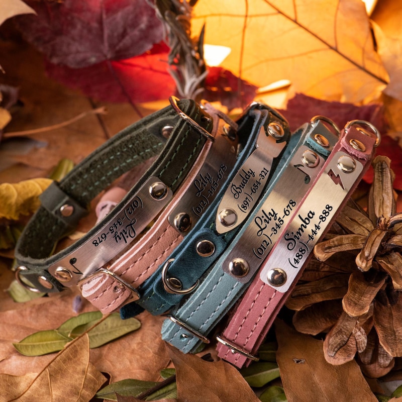 Cat Collar With Name Boy - Etsy