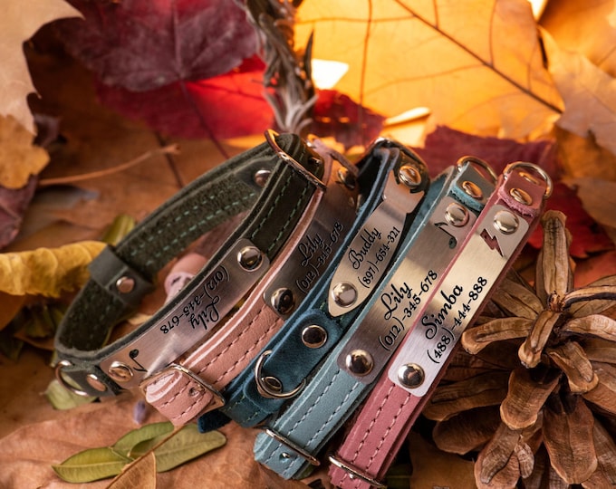 Leather Cat Collar With Name, Personalized Cat Collar, Engraved Custom ...