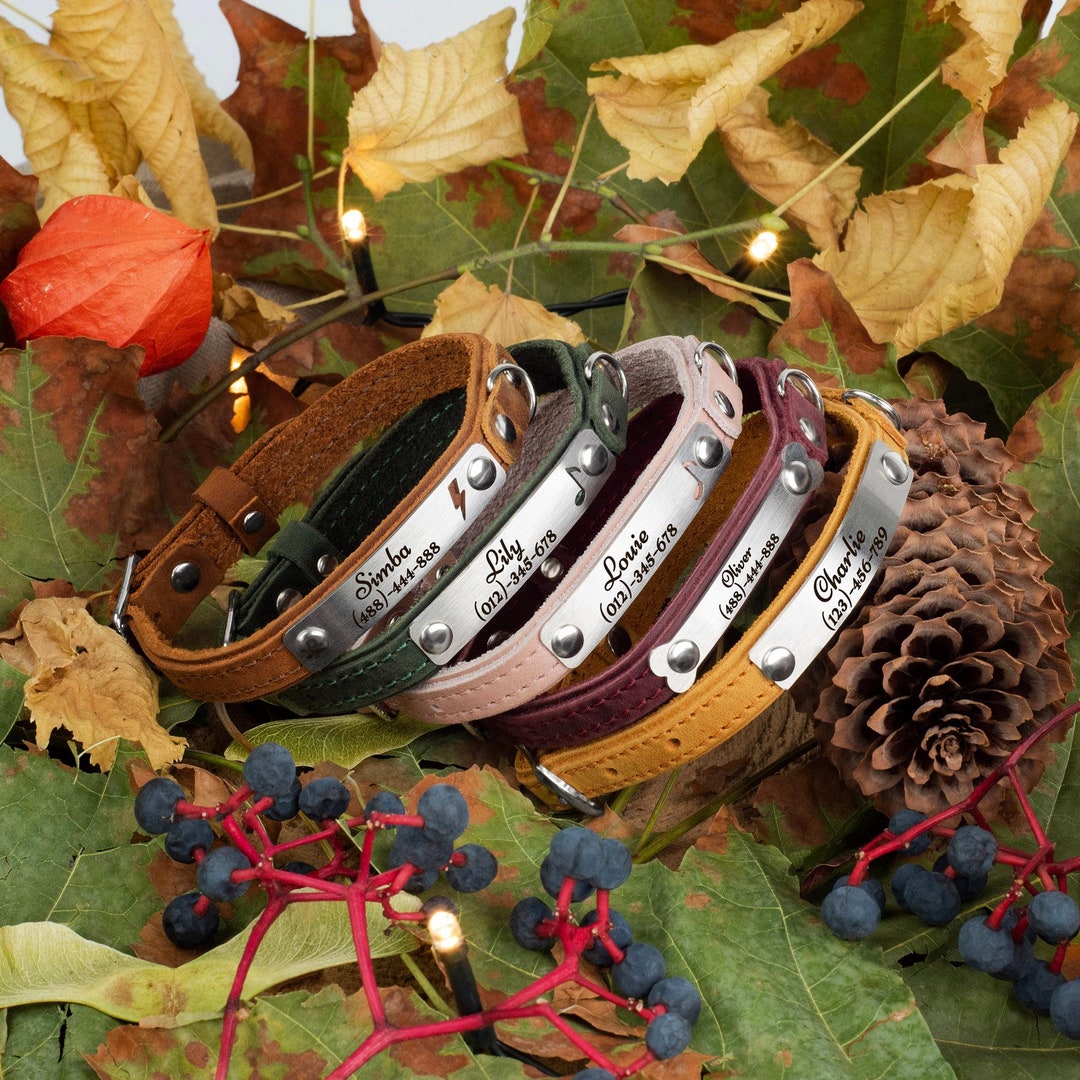 Custom Leather Cat Collar With Name Engraved, Personalized Cat Collar ...