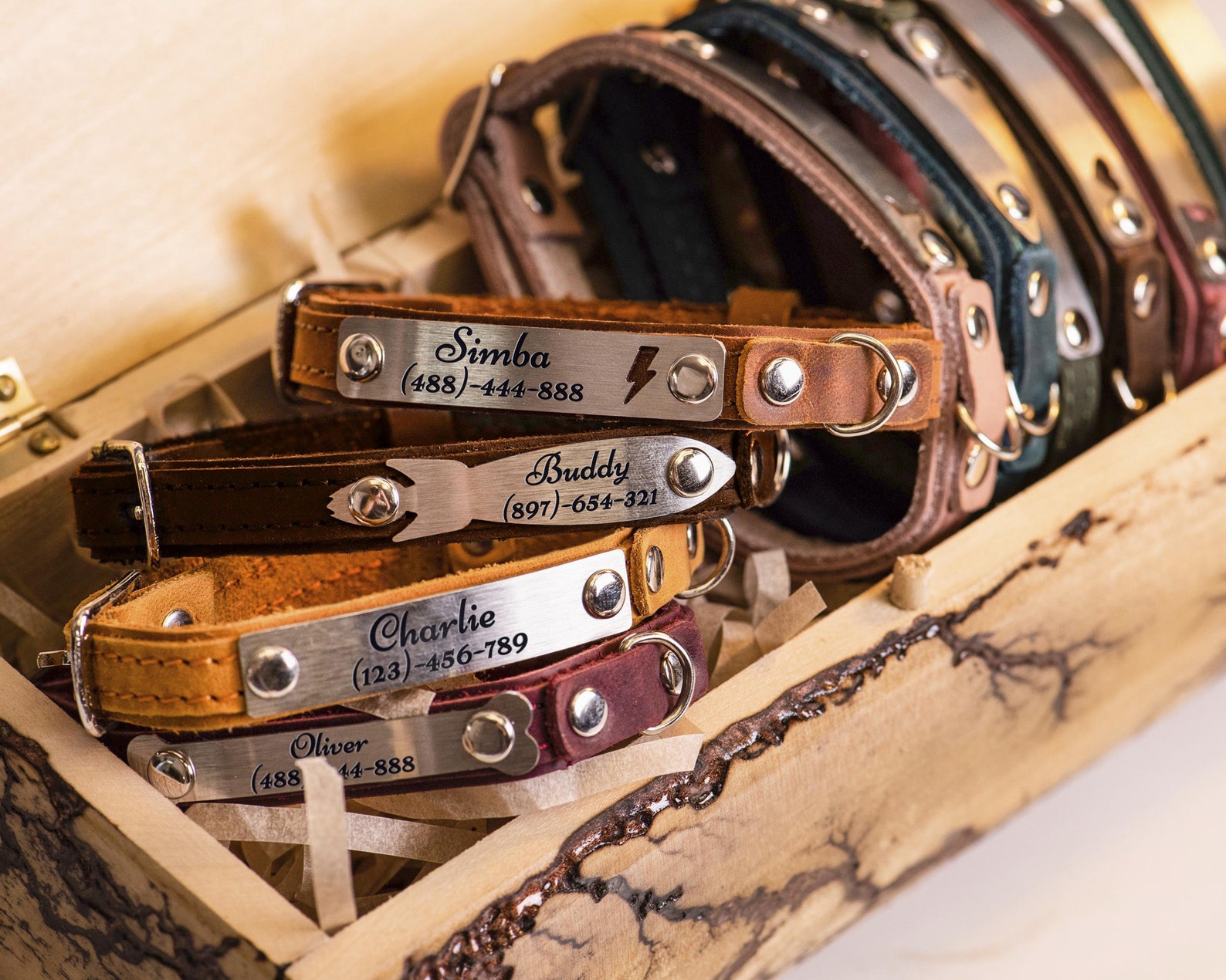 Personalized Cat Collar Custom Cat Collars With Engarved - Etsy