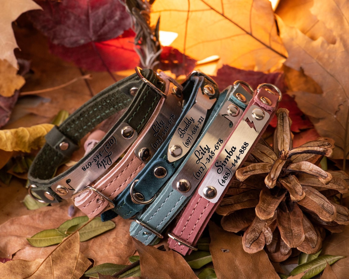 Leather Cat Collar With Name Personalized Cat Collar | Etsy