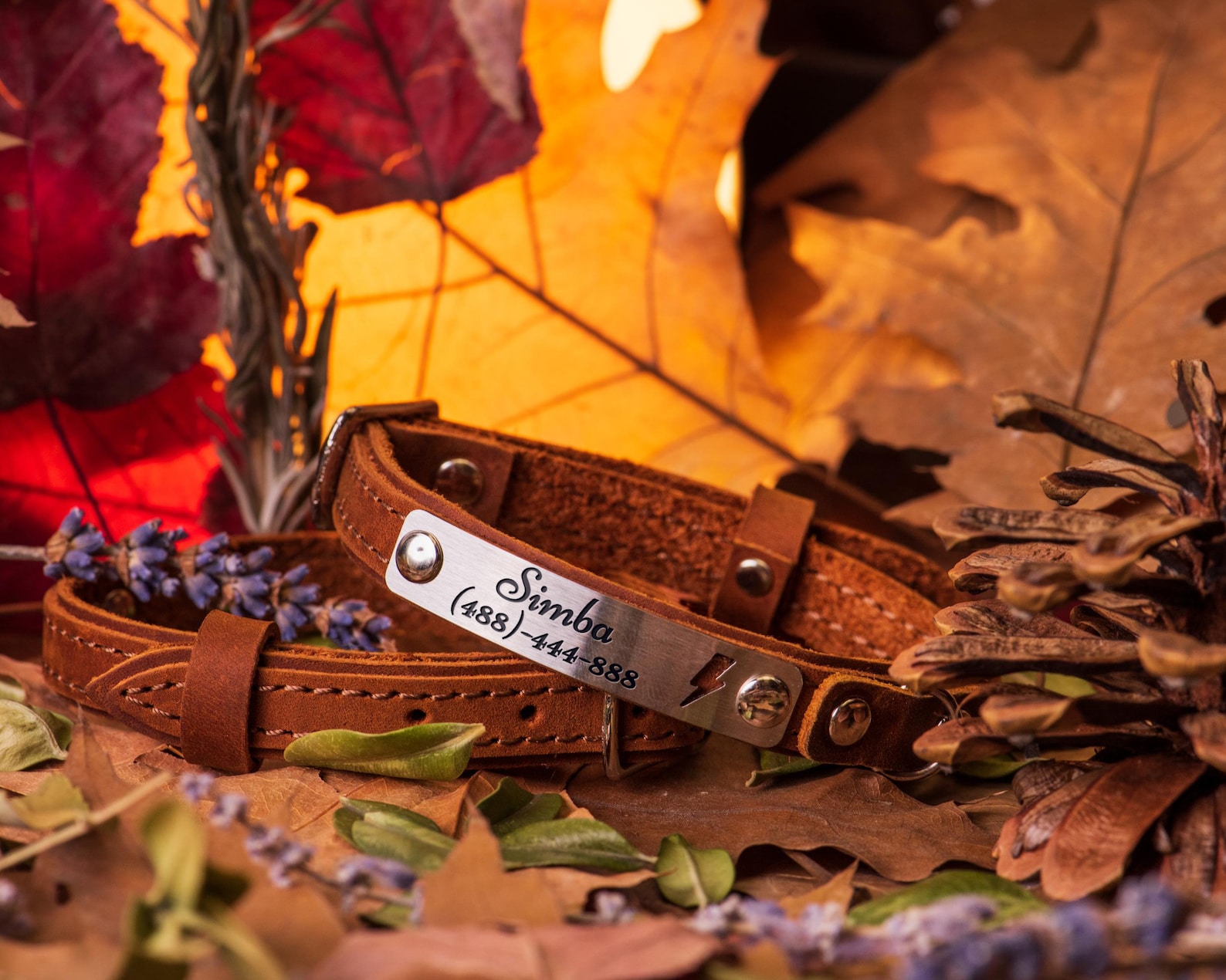 Personalized Cat Collar Custom Cat Collars With Engarved - Etsy