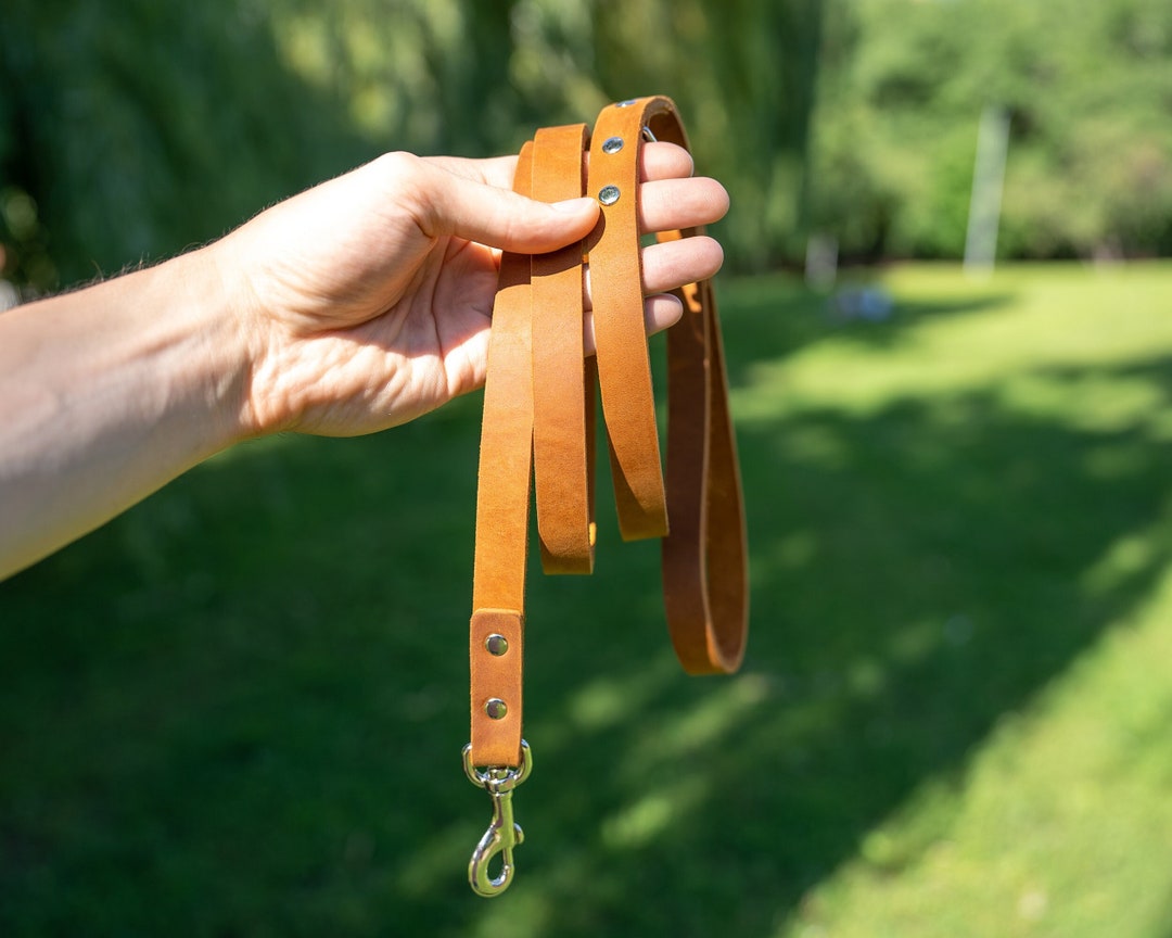 Silver Hardware Dog Leash, Leather Dog Leash, Silver Clasp Dog Leash ...
