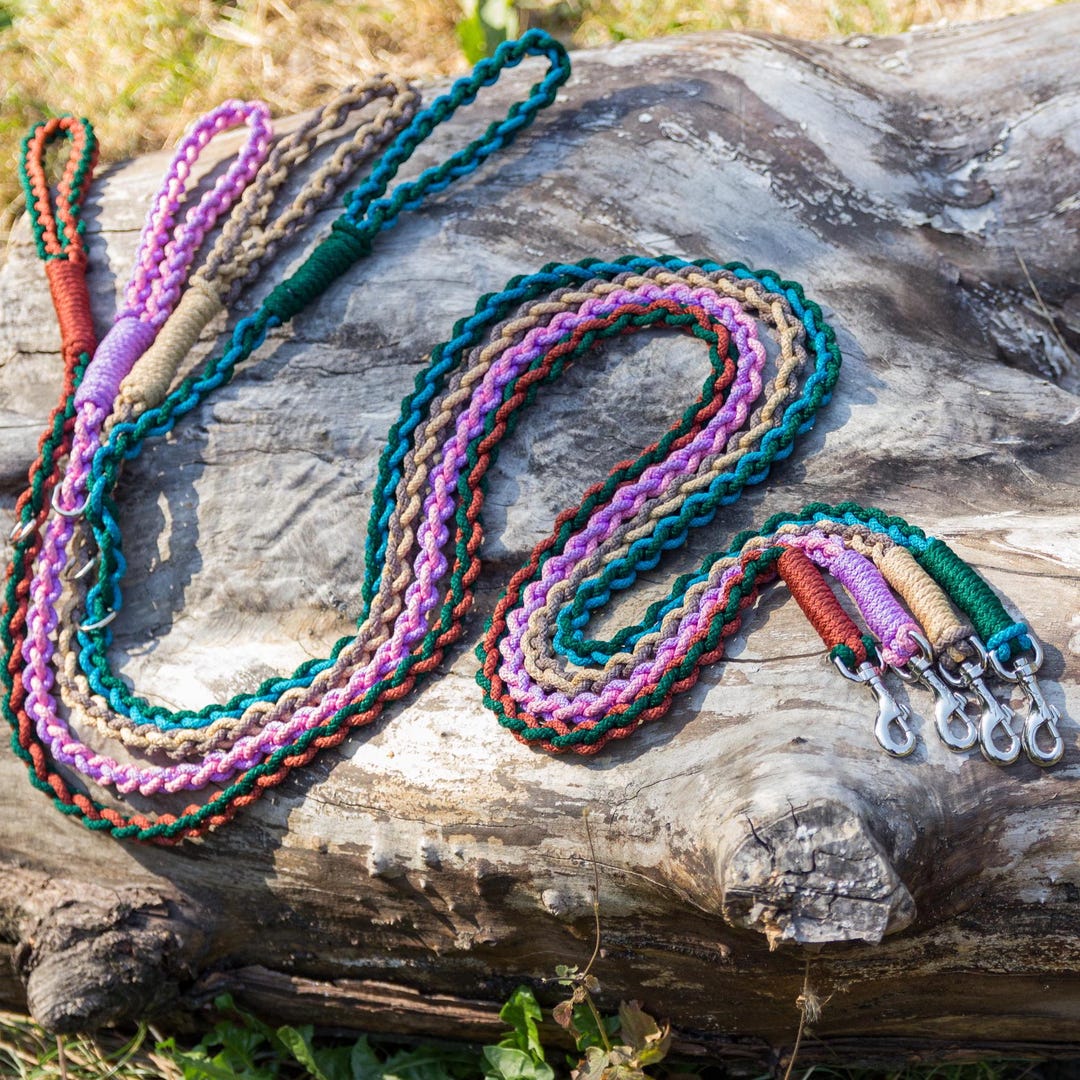 Braided Paracord Dog Leash, Heavy Duty 6ft Rope Lead - Etsy