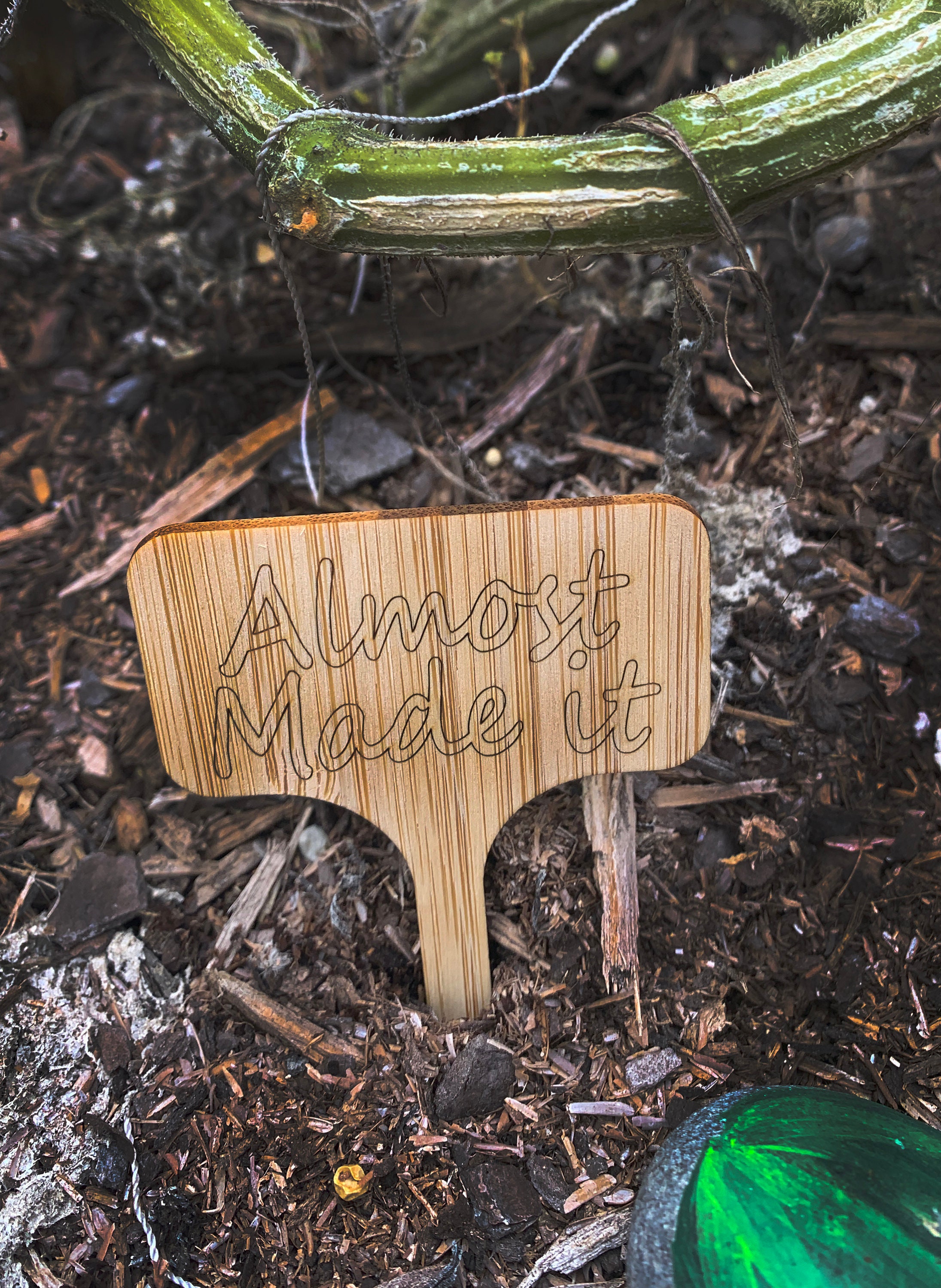 Funny Vegetable Herb Garden Plant Tag Two Sided Eco | Etsy