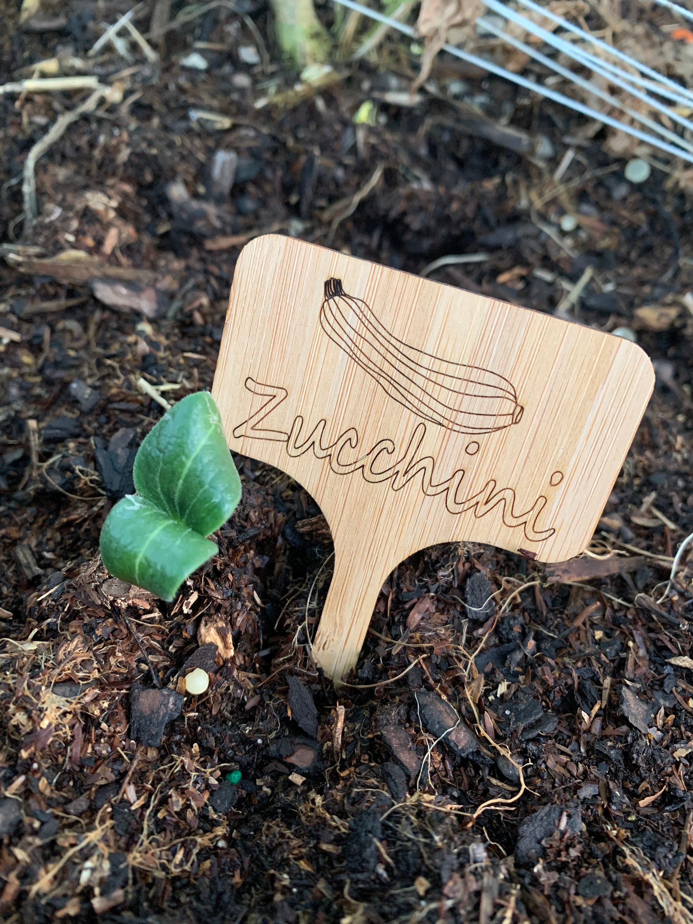 vegetable-herb-garden-plant-tag-two-sided-eco-friendly-etsy