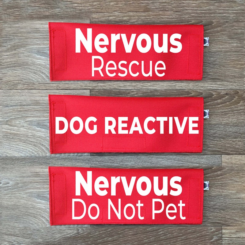 Not Friendly for Leash - Etsy