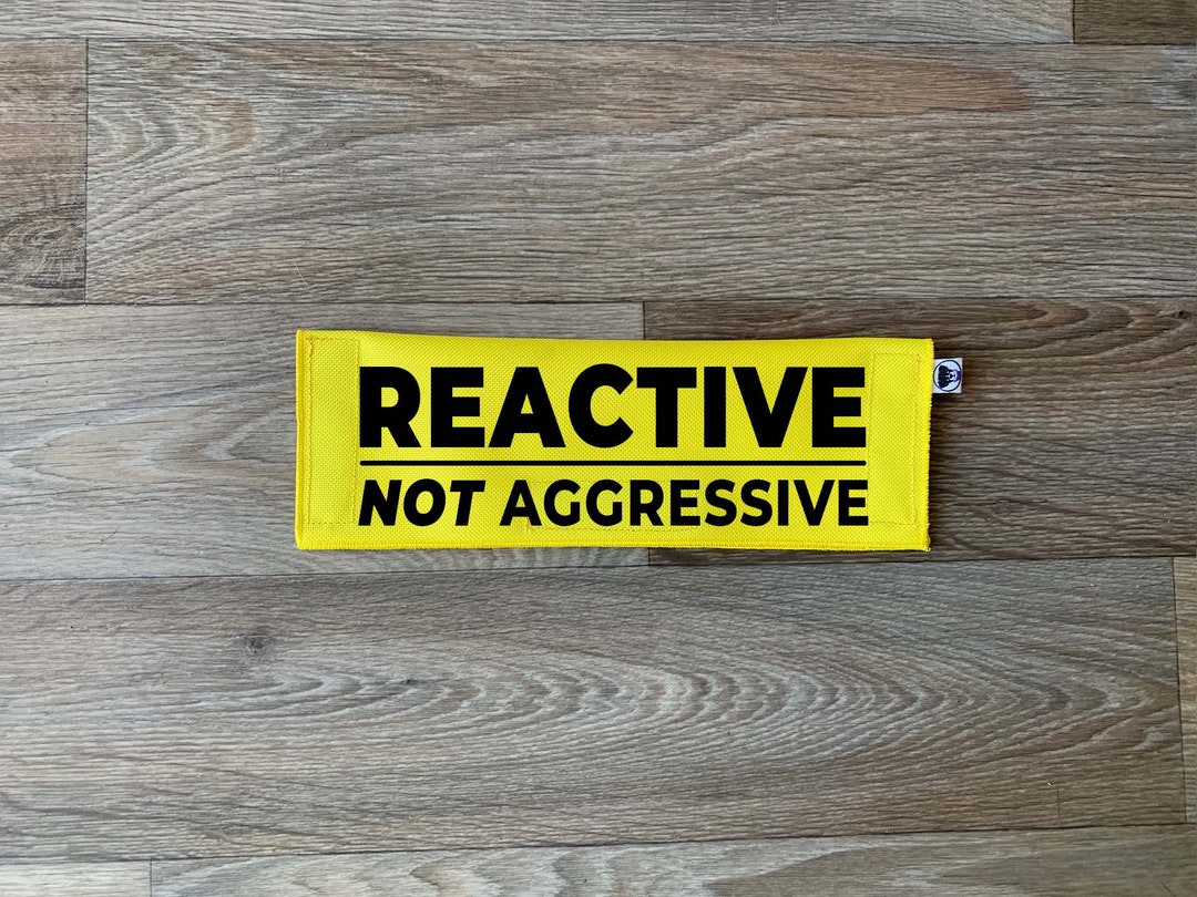 Dog Leash Sleeve | Reactive Not Aggressive | Lead Cover | Leash Sign ...